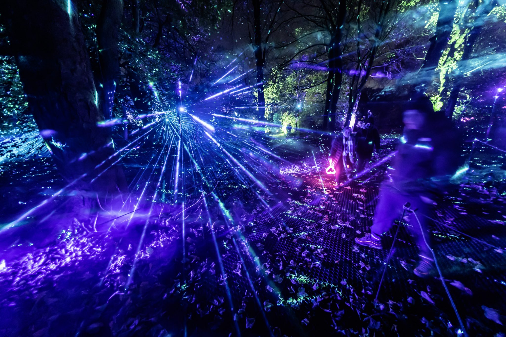 Home - Northern Lights Newcastle