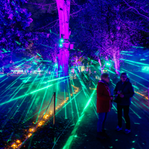 Home - Northern Lights Newcastle