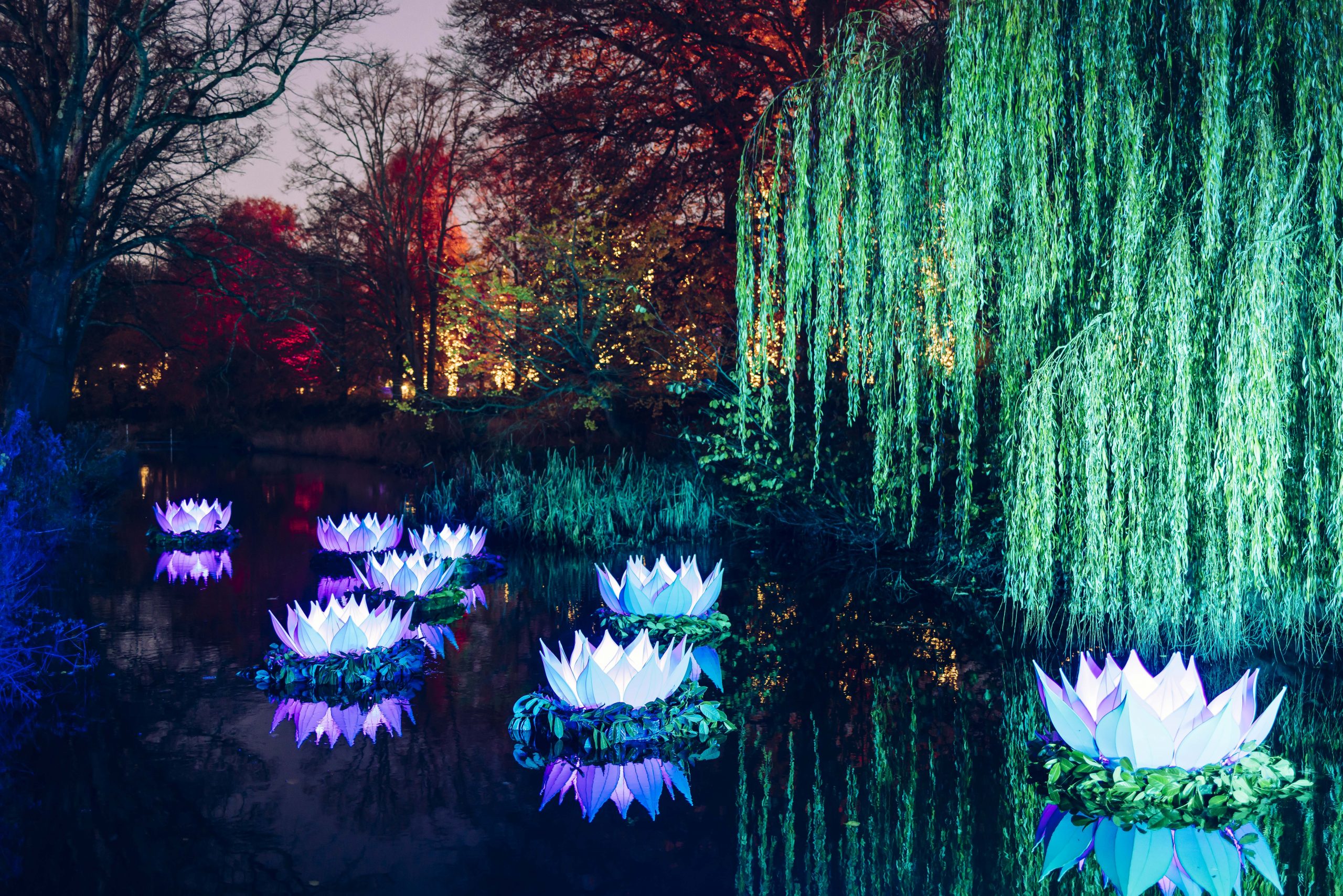 Sustainability - Northern Lights Newcastle