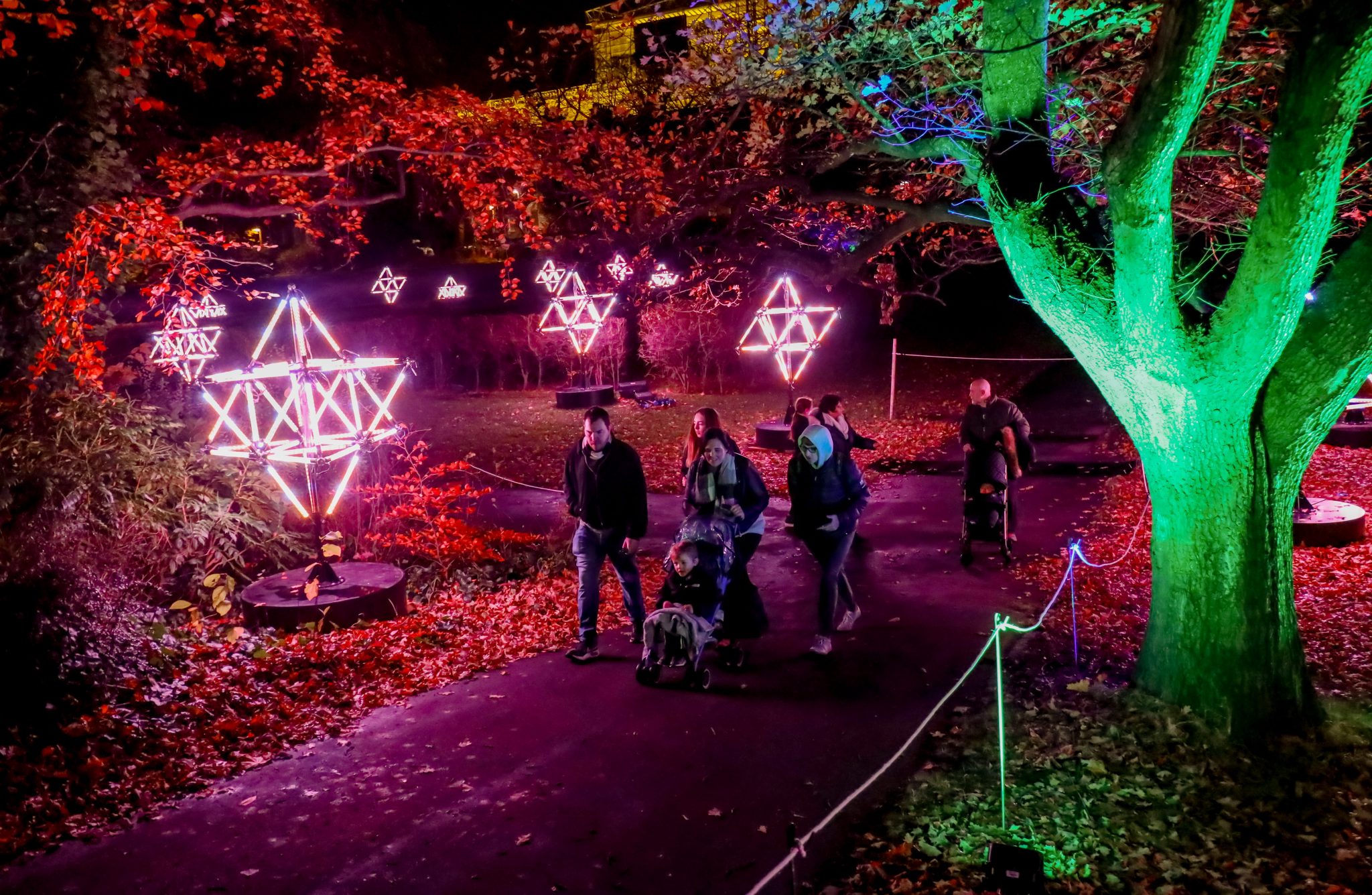 Home - Northern Lights Newcastle