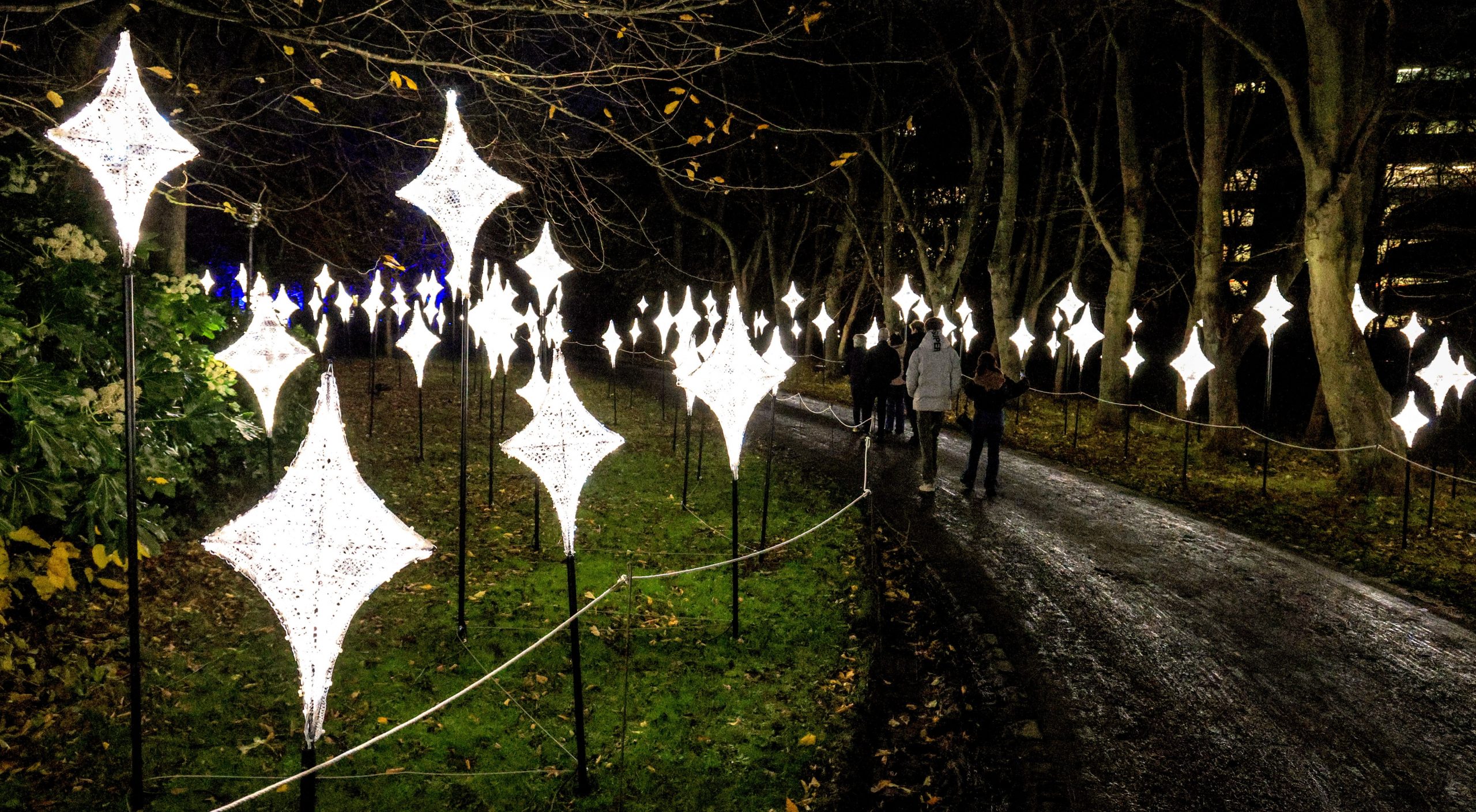 Community - Northern Lights Newcastle